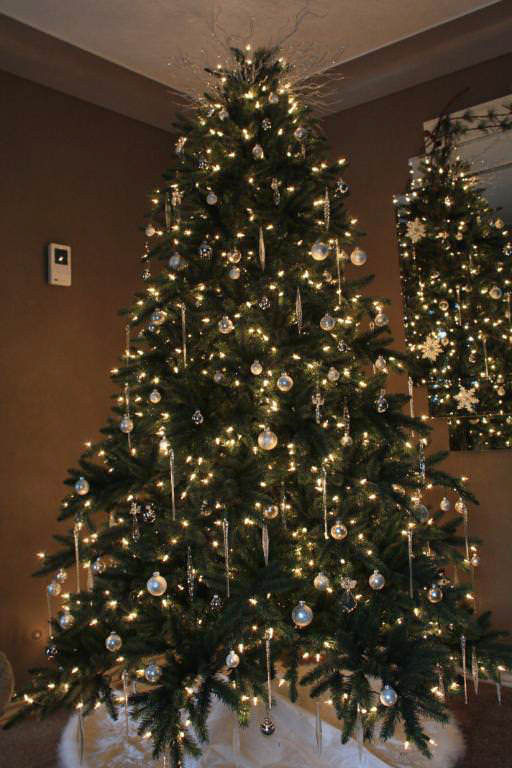 California Baby Redwood Christmas Tree | Balsam Hill