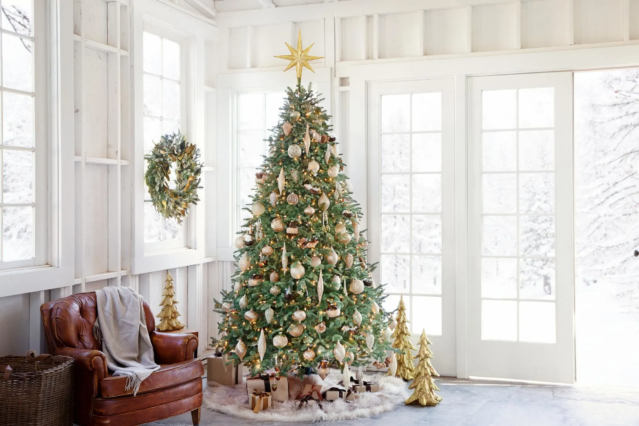 Christmas Tree In Window