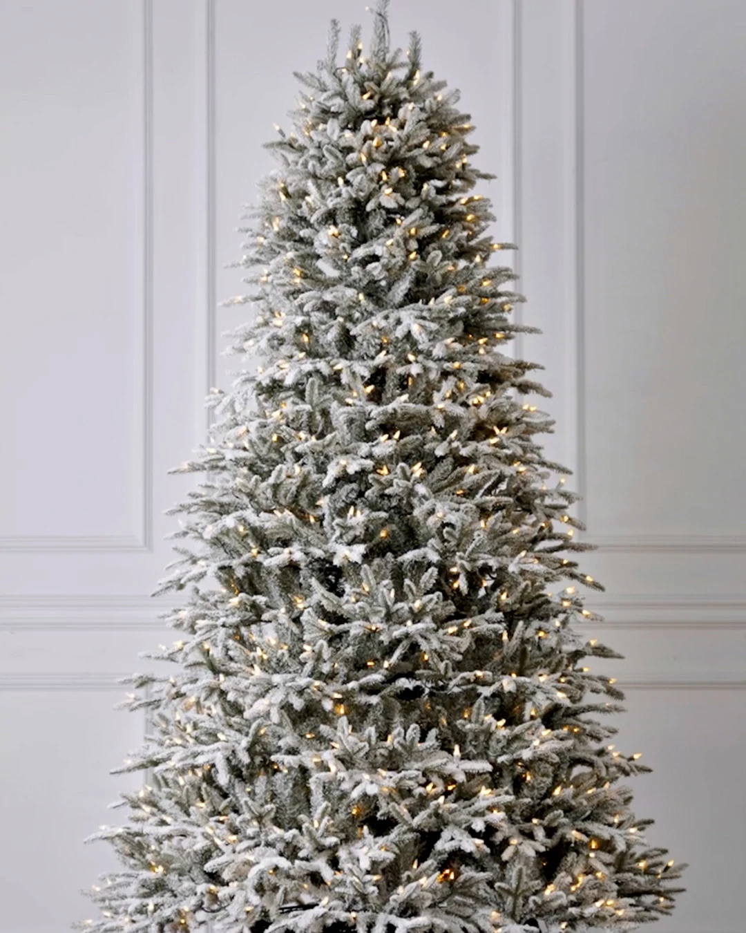 6 5 Fraser Fir Pre Lit Christmas Tree
