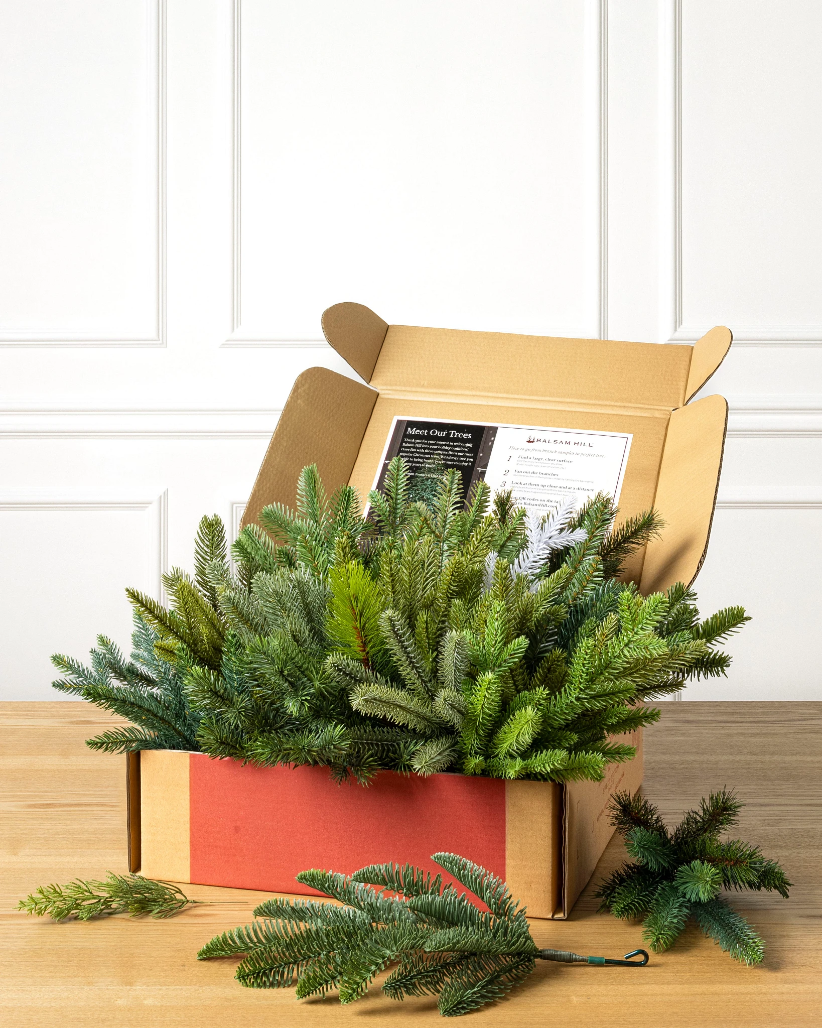 Christmas Tree Branch Sample Kit | Balsam Hill