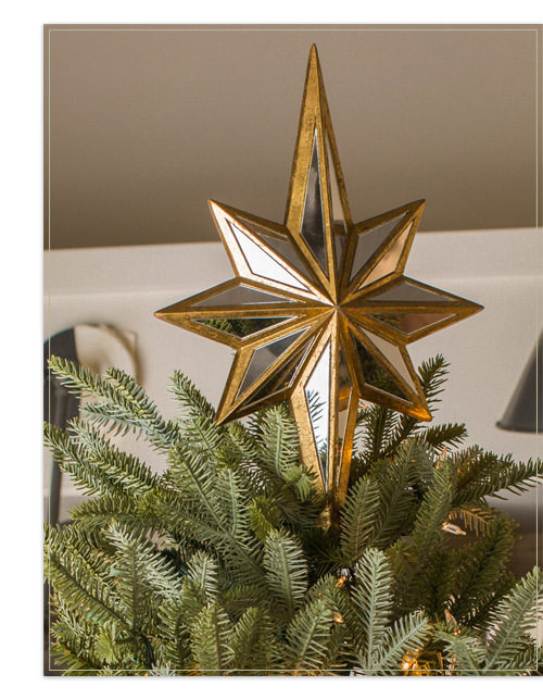 Christmas Tree Star Topper
