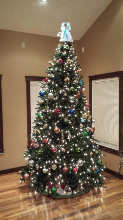 California Baby Redwood Christmas Tree | Balsam Hill