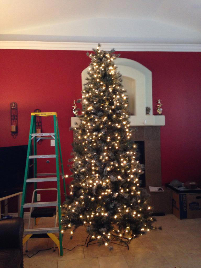 Frosted Sugar Pine Christmas Trees | Balsam Hill