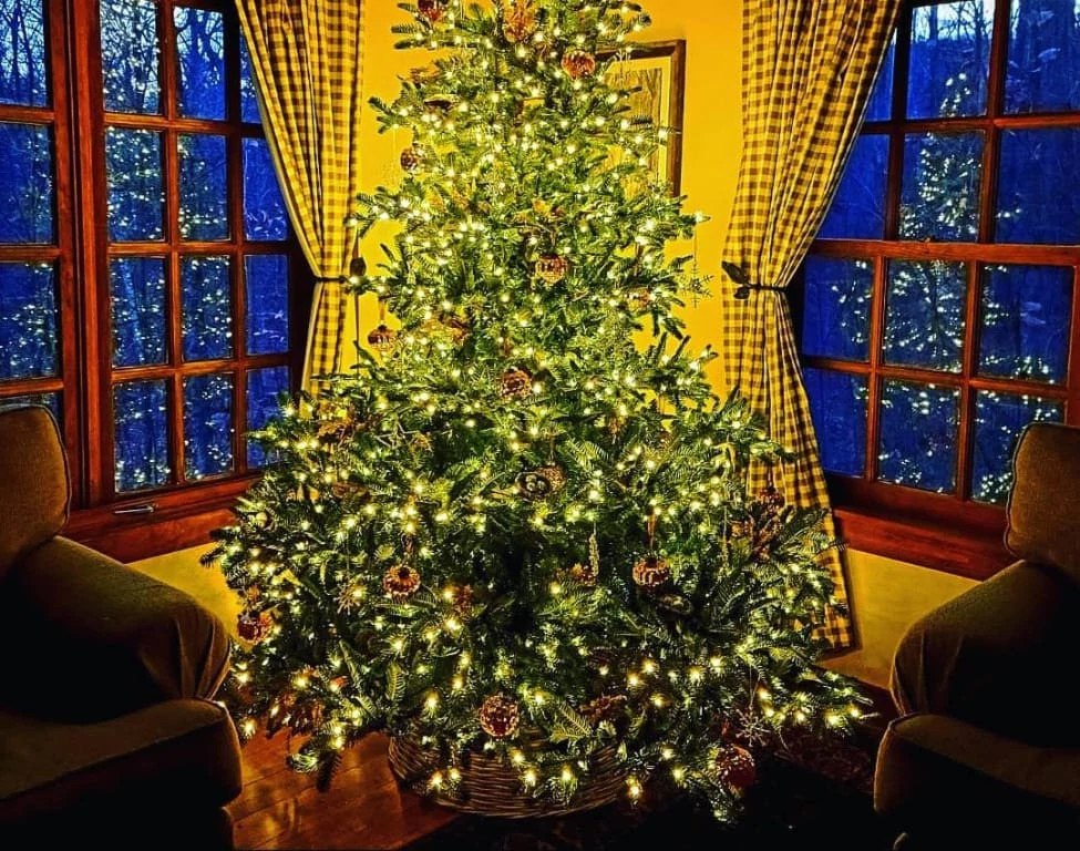 European Fir™ Artificial Christmas Tree | Balsam Hill