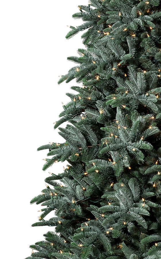 Noble Fir Tree