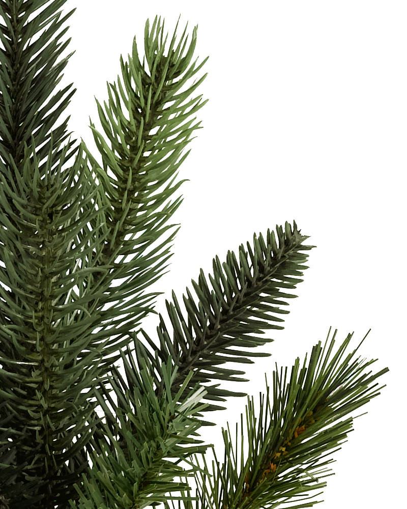 California Baby Redwood Christmas Tree | Balsam Hill