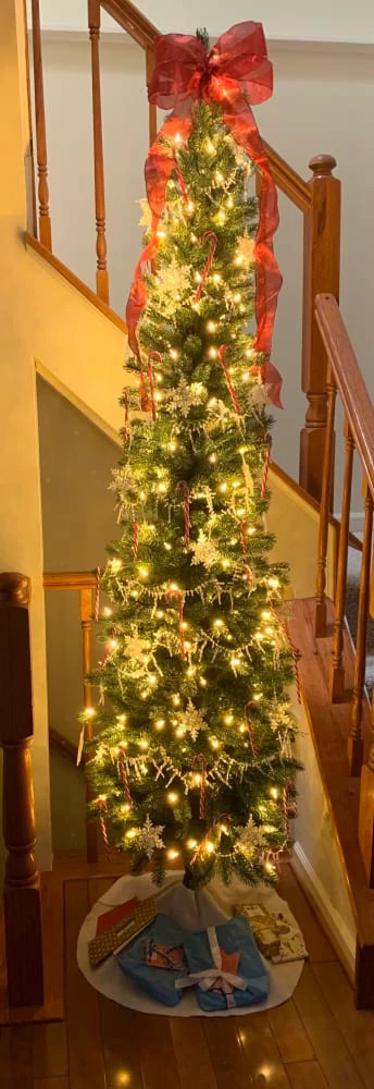 Sonoma Slim® Pencil Christmas Tree | Balsam Hill