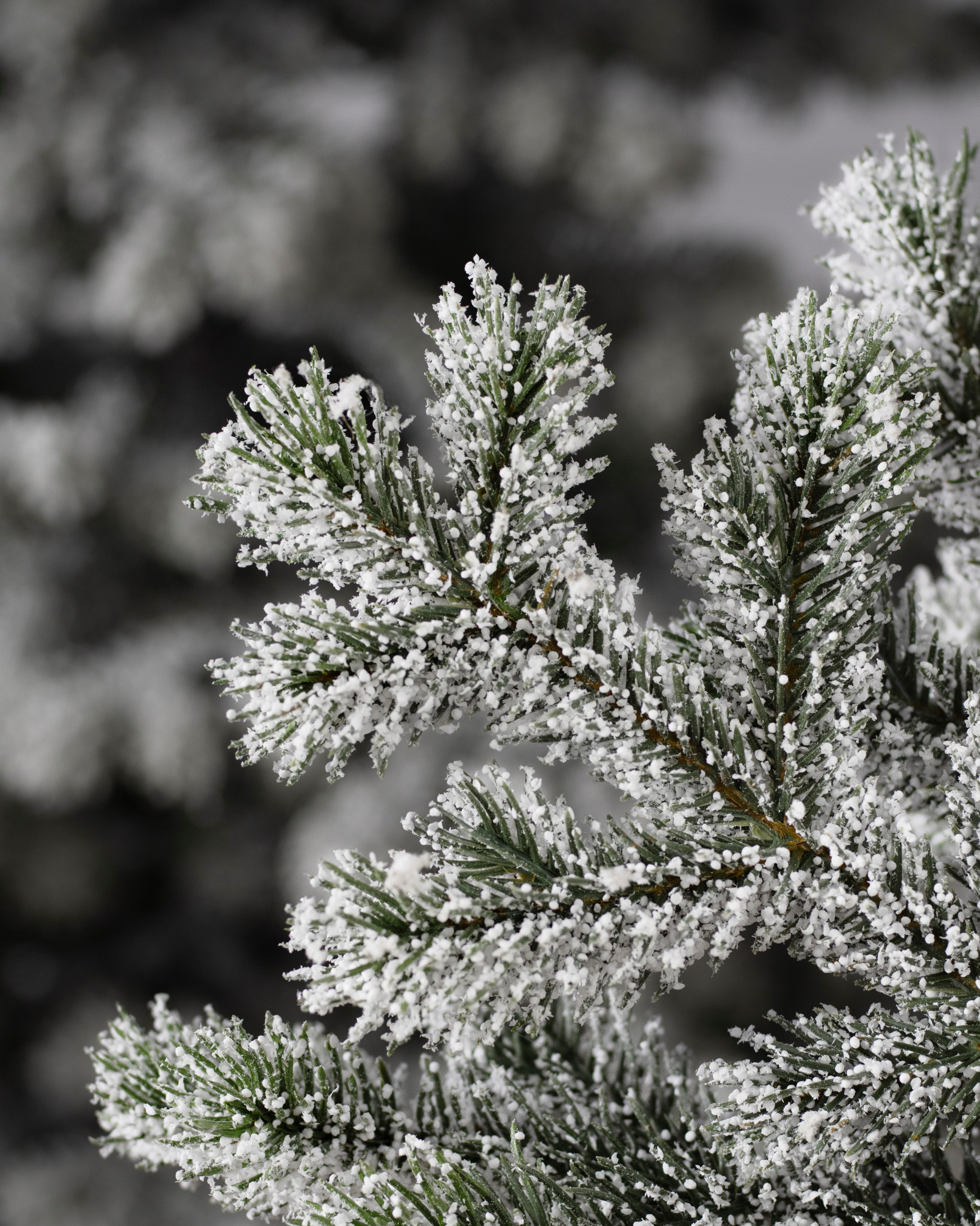 Frosted Yukon Spruce Artificial Christmas Trees | Balsam Hill
