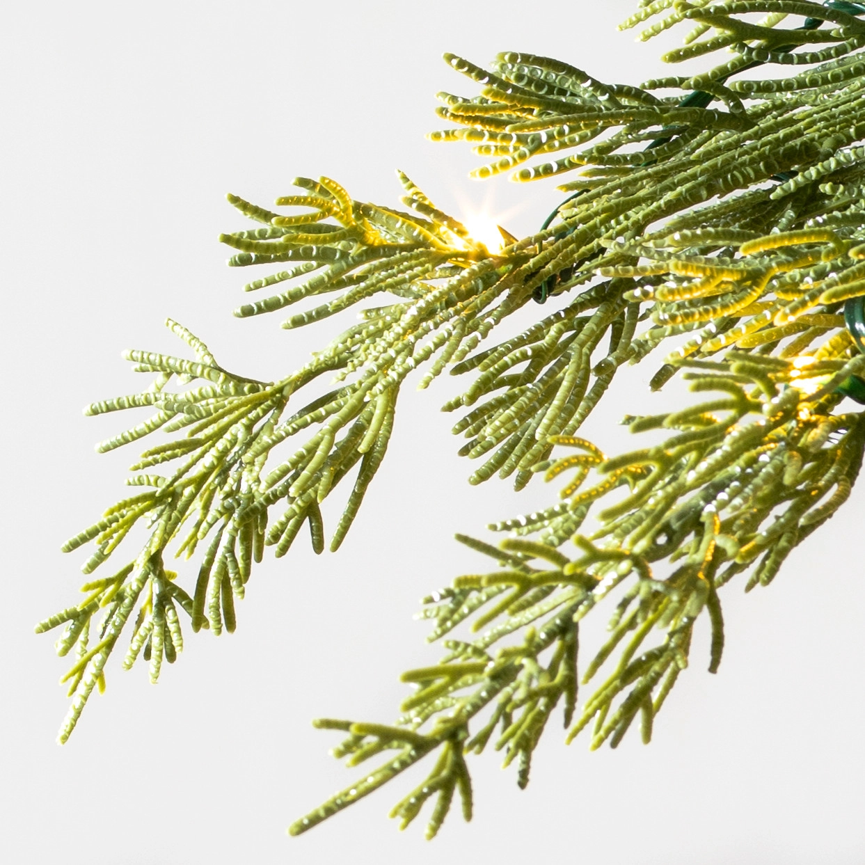 Cedar California Christmas Trees
