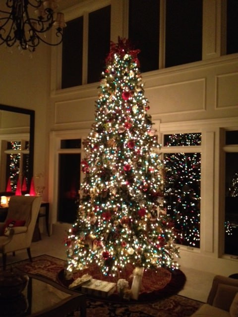California Baby Redwood Christmas Tree | Balsam Hill