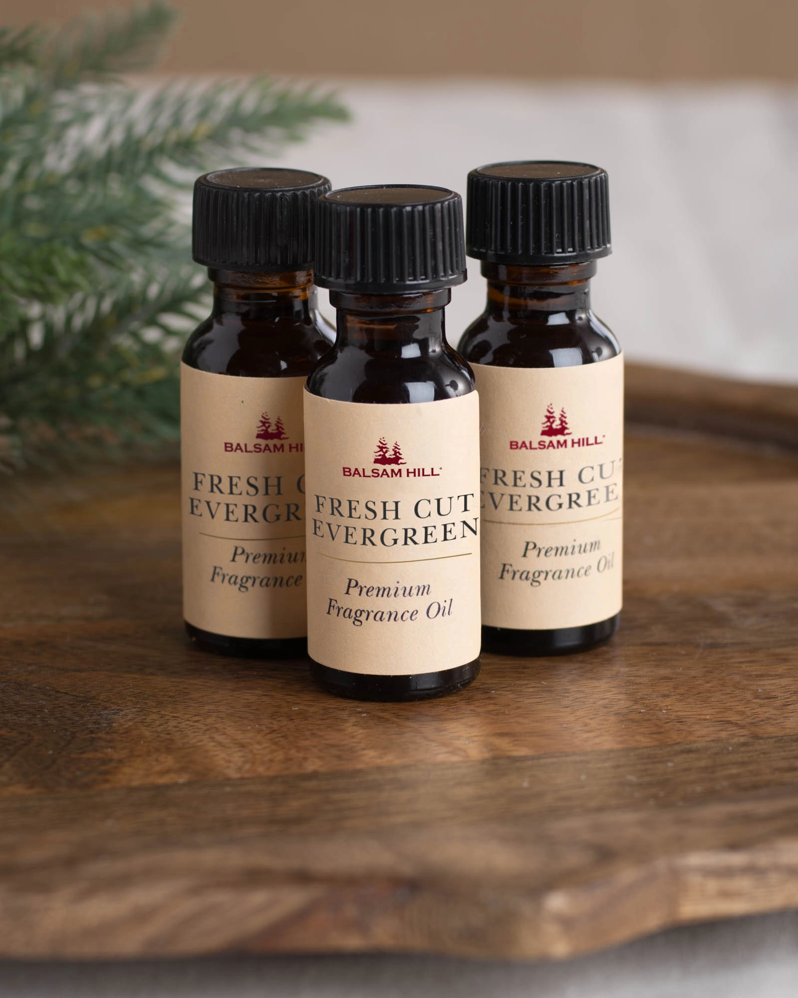 Fresh Cut Evergreen Scent Cartridges | Balsam Hill