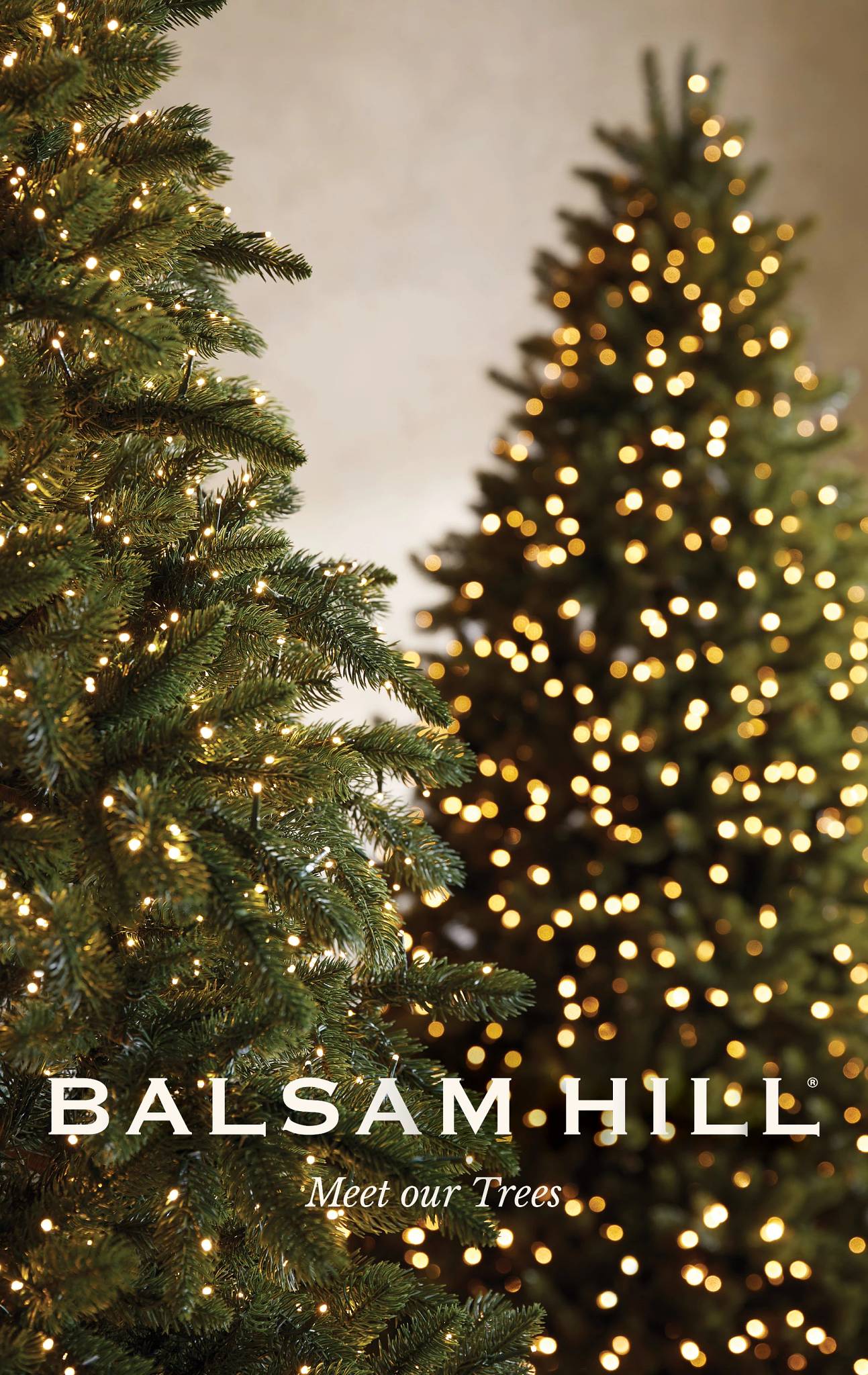 Christmas Tree Online Catalog 6.5' New Haven Fir Tree ColorChange 3mm