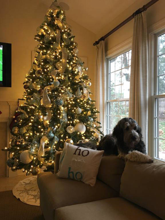 BH Noble Fir Prelit Christmas Flip Tree™ | Balsam Hill