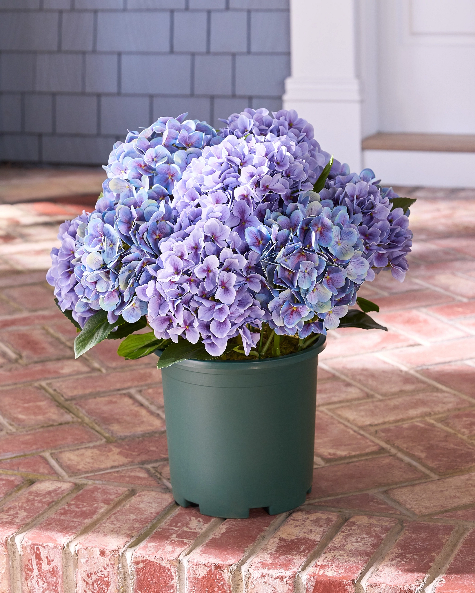 Outdoor Purple Hydrangea Harmony Artificial Spring Pot Filler | Balsam Hill