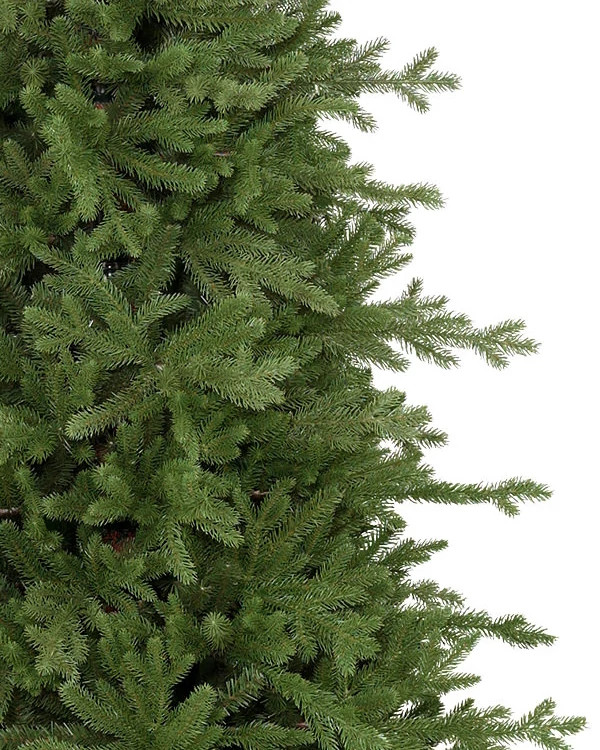 Christmas Tree Branch Sample Kit | Balsam Hill