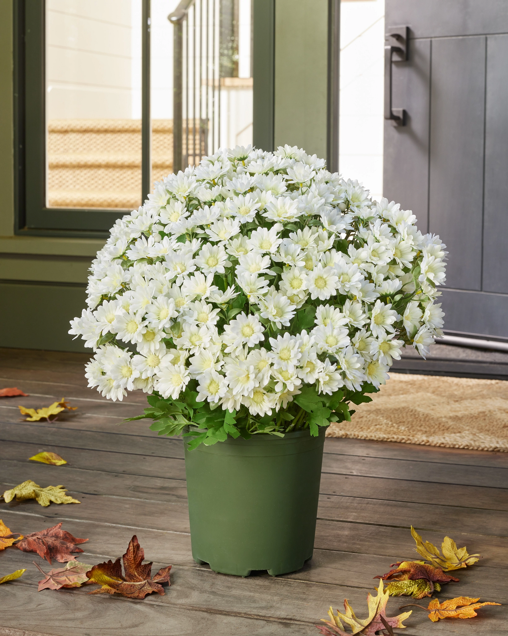 Outdoor Ivory Sunset Mums Artificial Flower Arrangements | Balsam Hill