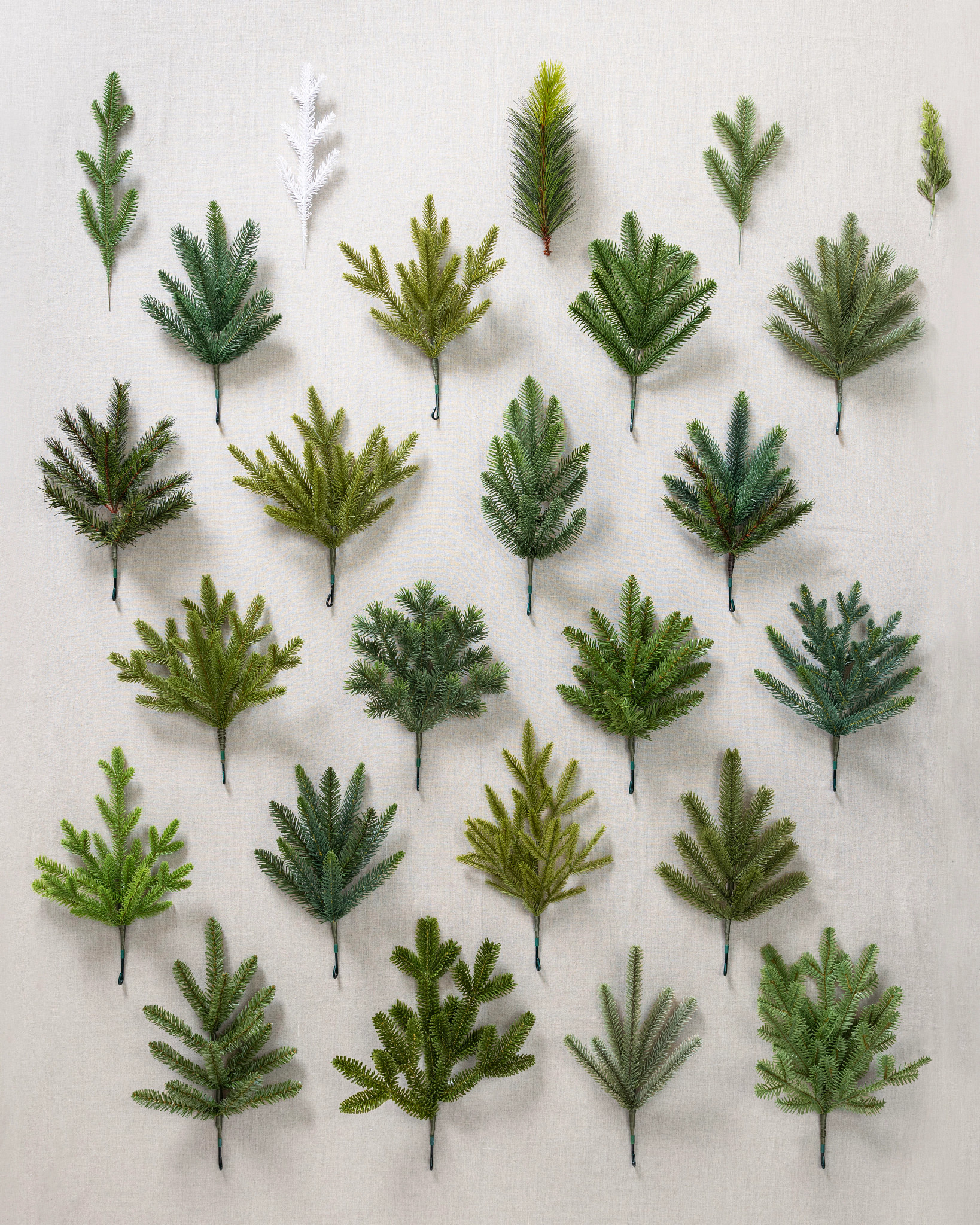 Branch Sample Kit | Balsam Hill