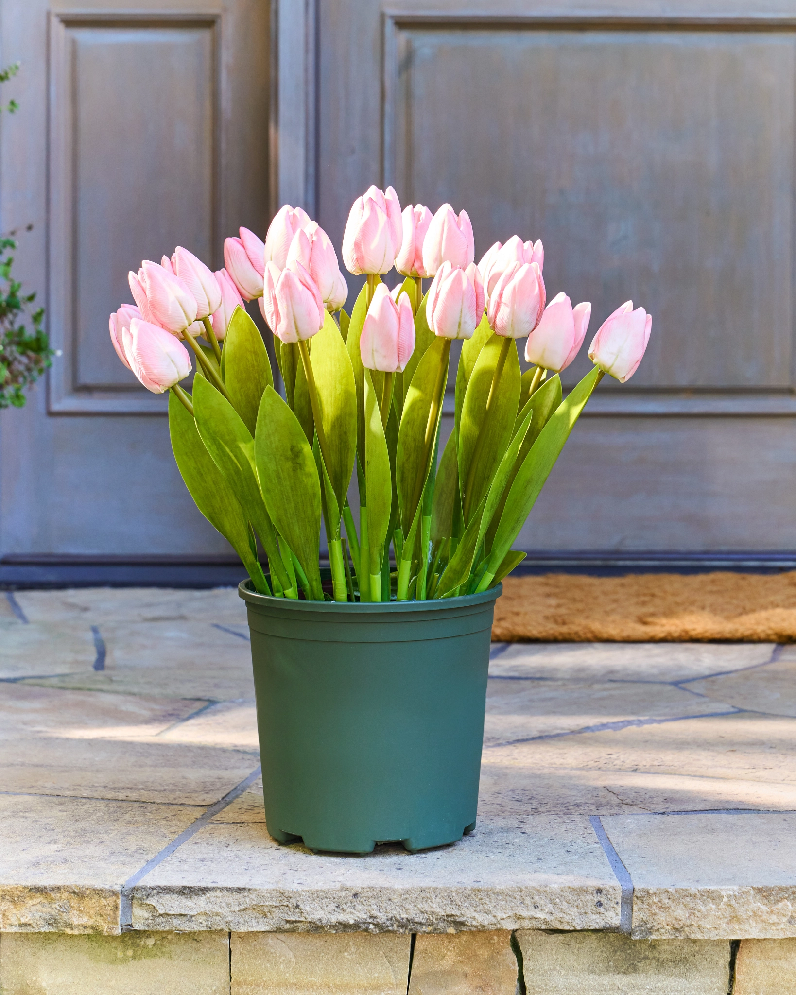 New Spring Decor | Balsam Hill