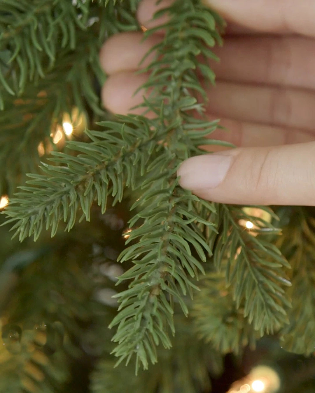Red Spruce Slim Artificial Christmas Tree | Balsam Hill