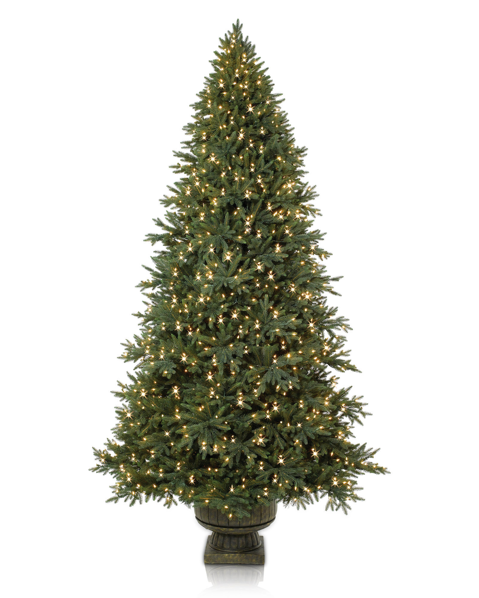 Colorado Mountain Spruce™ Potted Trees | Balsam Hill