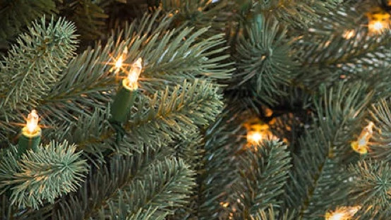 Yukon Spruce Artificial Christmas Trees | Balsam Hill