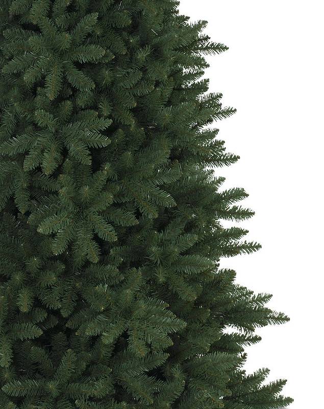 Berkshire Mountain Fir® Christmas Tree | Balsam Hill Berkshire Mountain Fir® Christmas Tree | Balsam Hill