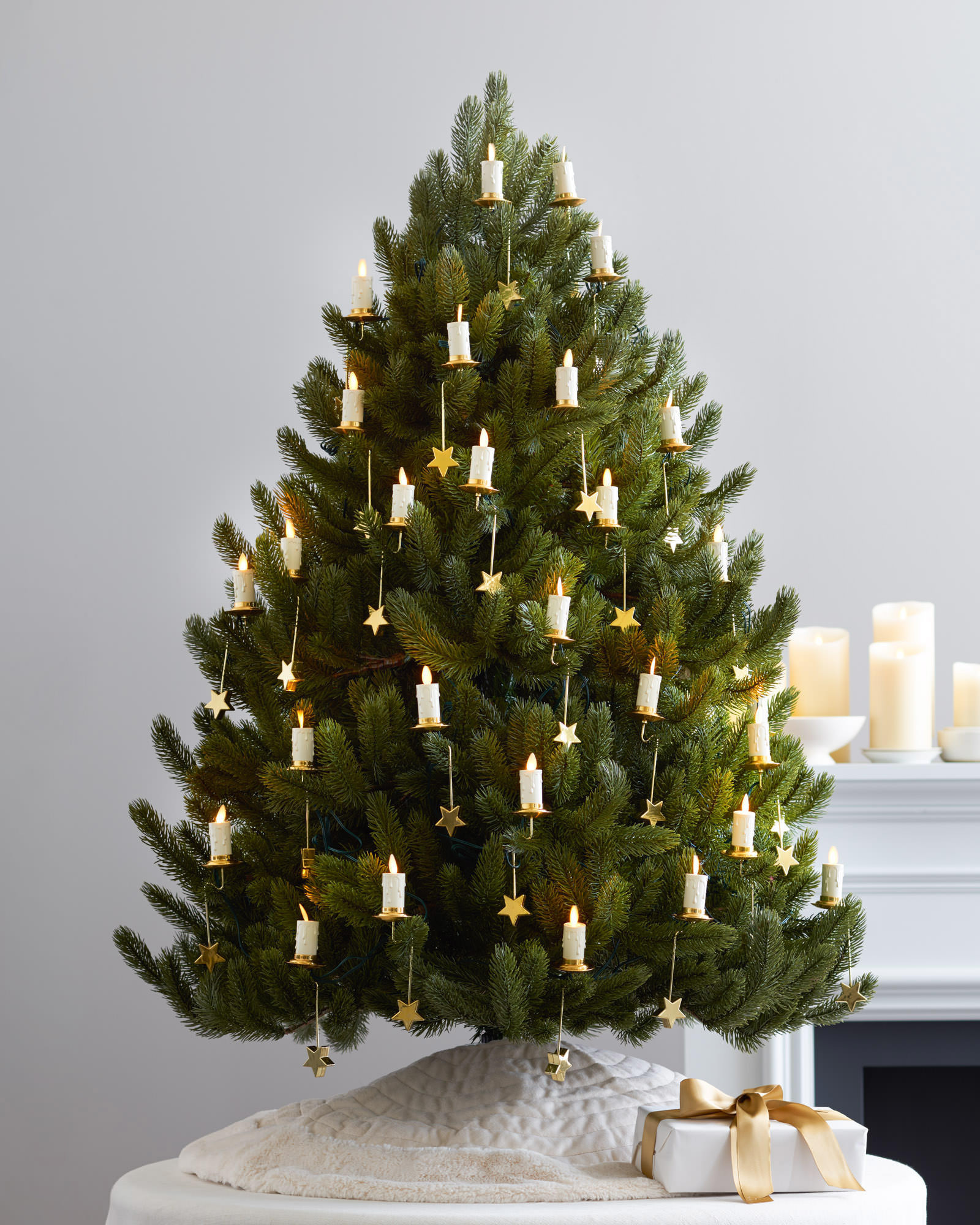 Vermont White Spruce® Tree | Balsam Hill